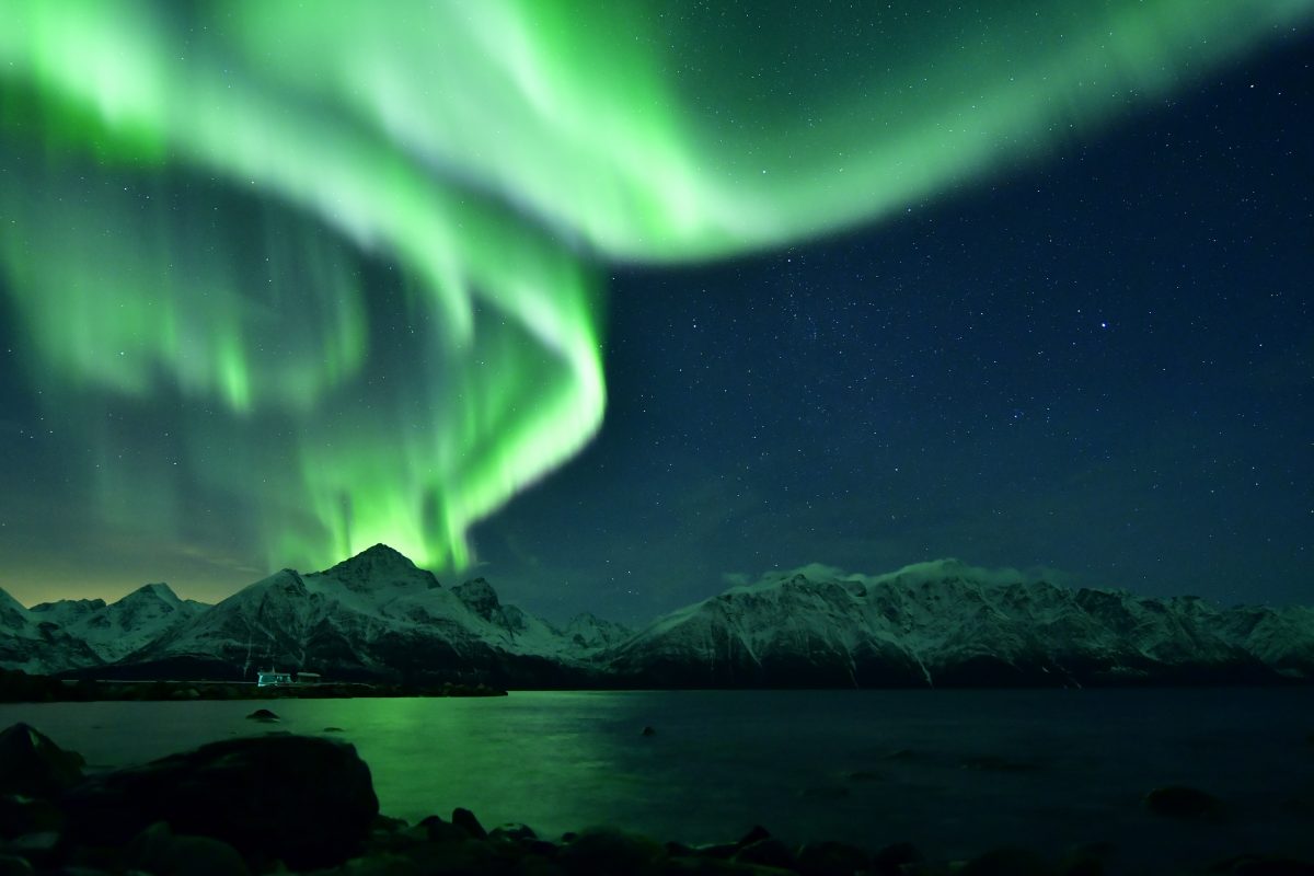 🐋 Orcas, Humpback Whales and Northern Lights 🐋 WOW